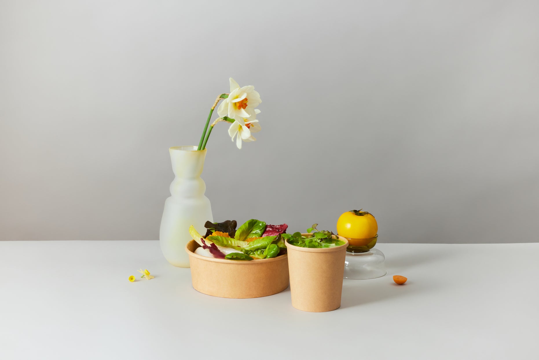 Soyle | Your sustainable restaurant business, to-go – Soyle Inc.